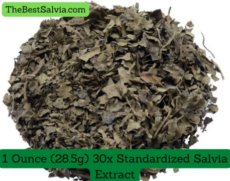 Learn About Salvia and it’s Different Effect Salvia Plant